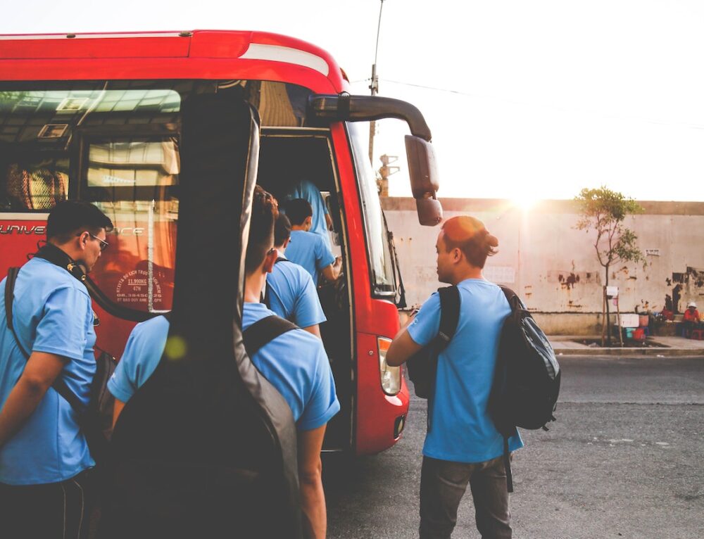 Bus Travel With Pets! Cat & Dog Friendly Bus Travel Guidelines