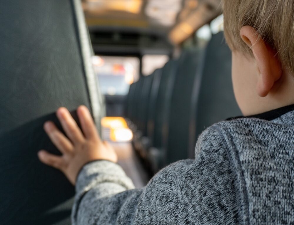 Bus Travel With Pets! Cat & Dog Friendly Bus Travel Guidelines