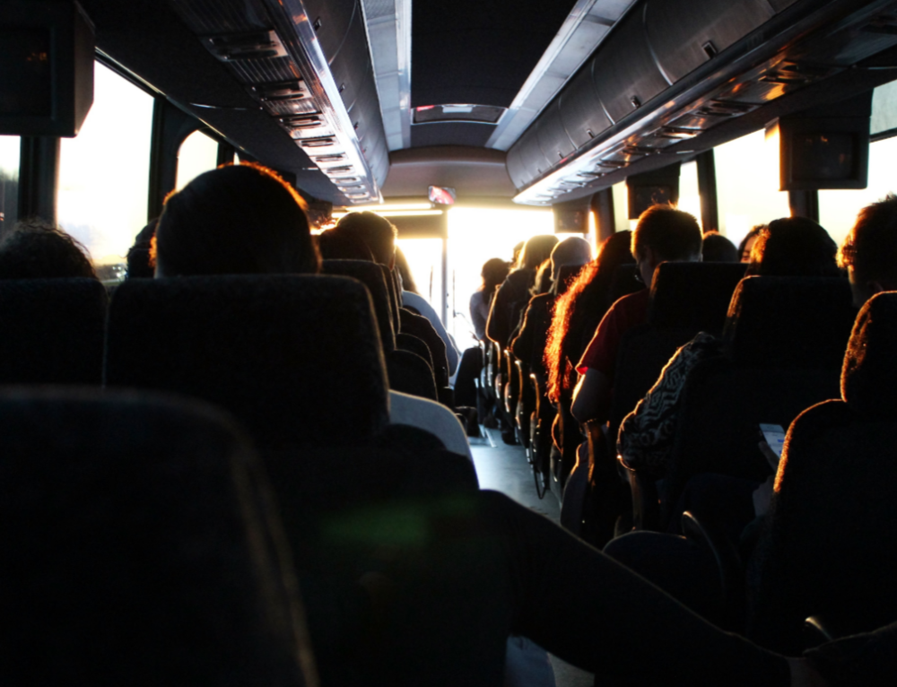 Bus Travel With Pets! Cat & Dog Friendly Bus Travel Guidelines